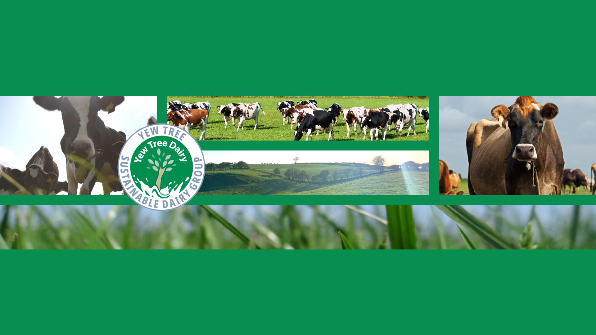 Yew Tree Sustainable Dairy Group